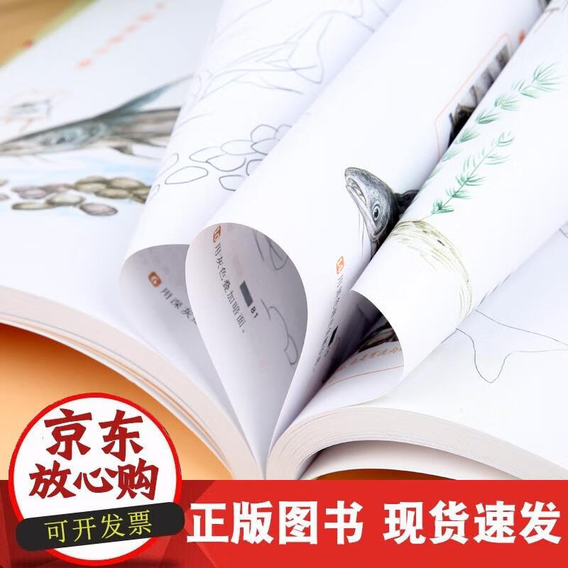 【现货】浪漫彩铅随意绘--水族