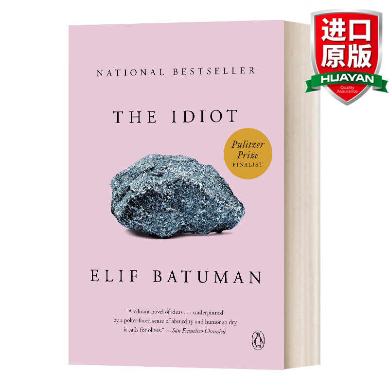 The Idiot 英文原版小说 白痴 现代小说 2018普利策小说奖入围 英文版 进口英语原版书籍