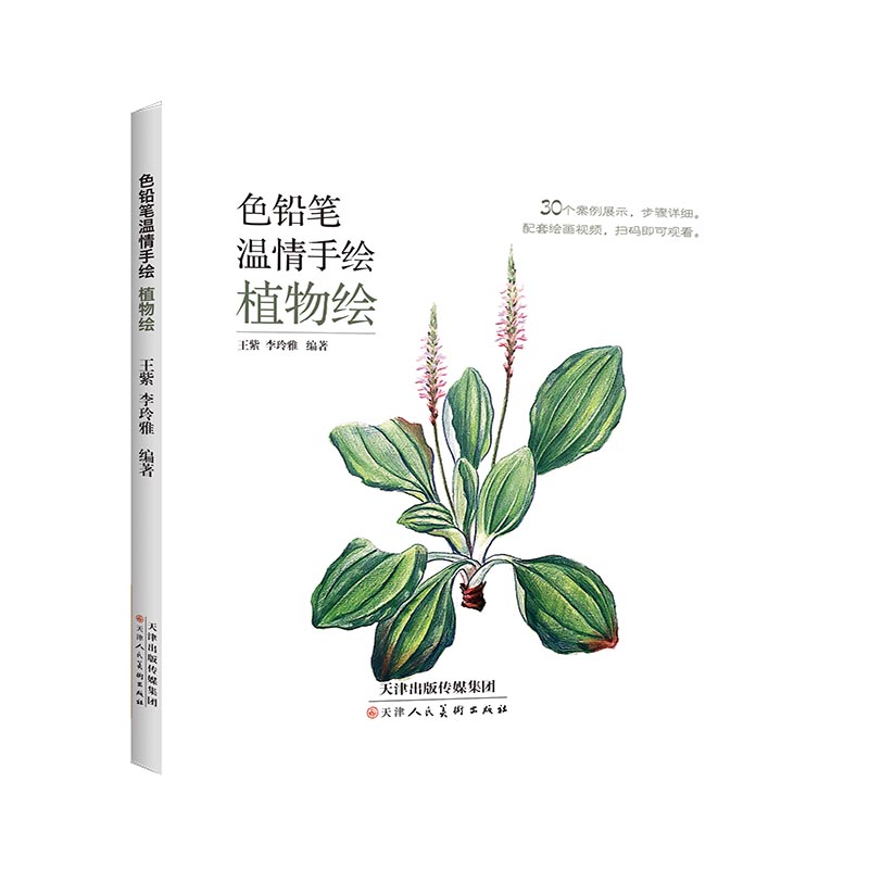 色铅笔温情手绘：植物绘