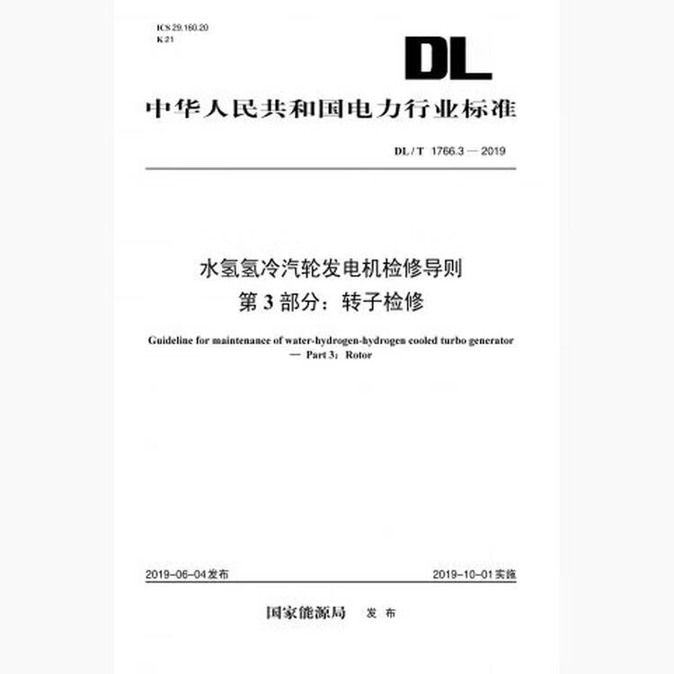 DL/T 1766.3—2019 水氢氢冷汽轮发电机检修导则 第3部分：转子检修