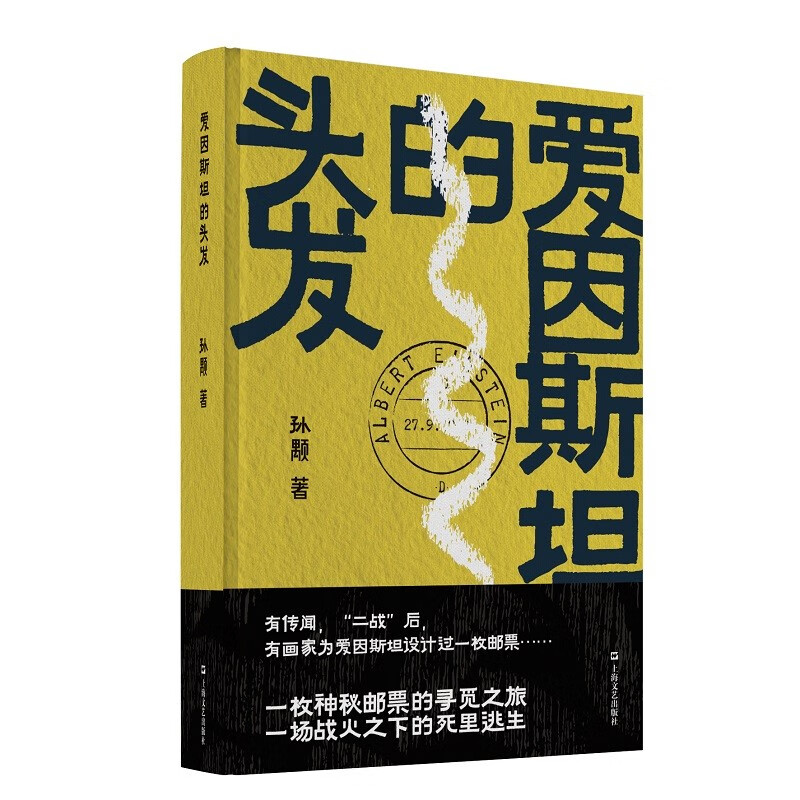 爱因斯坦的头发（孙颙奇思小说系列，太史公笔法书写奇人奇事：一枚神秘邮票的寻觅之旅，一场战火之下的死里逃生）
