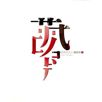 藏着的关中 胡武功 著