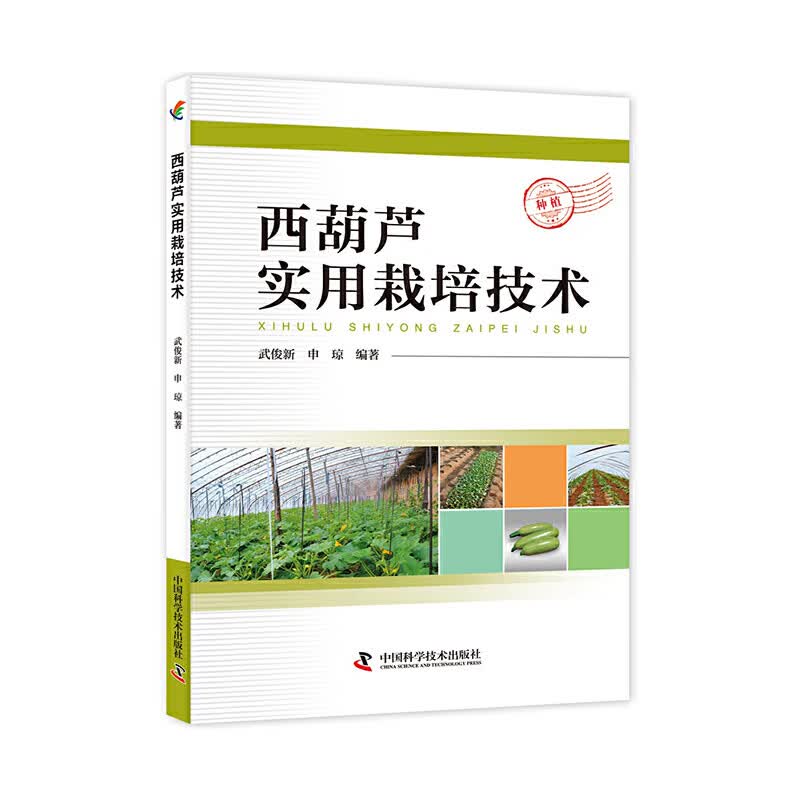 西葫芦实用栽培技术