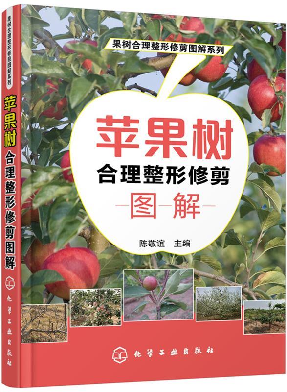 果树合理整形修剪图解系列--苹果树合理整形修剪图解 陈敬谊 主编 化学工业出版社