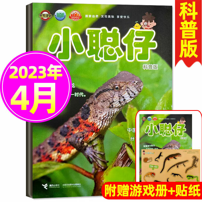 1-4月现货【礼品全/半年订阅】小聪仔科普版/幼儿版/婴儿版杂志(2023年1-12月打包)2~8岁 赠贴纸+游戏图册科普版2023年4月鳄蜥