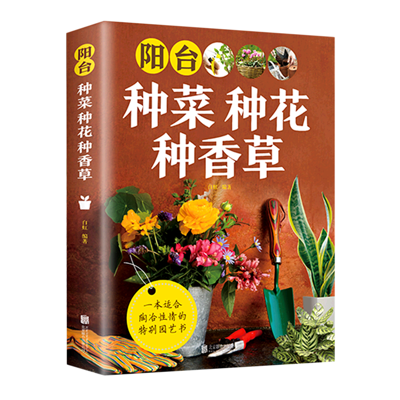 阳台种菜种花种香草