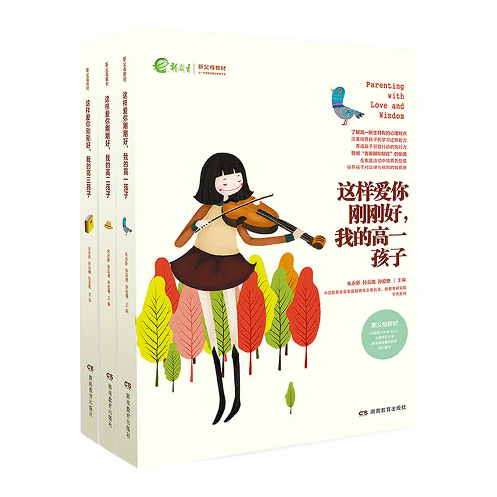 这样爱你刚刚好，解码青春期高中阶段（共3册）一丹奖获得者朱永新教授主编