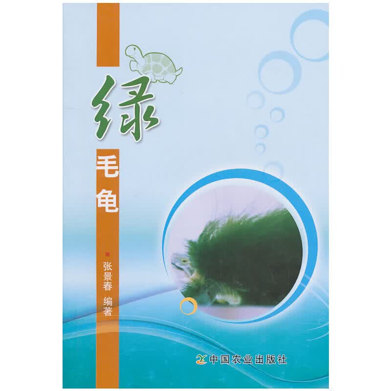 绿毛龟