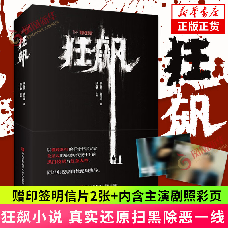 狂飙小说书【赠印签剧照2张+内含主演剧照彩页】电视剧狂飙全集原著小说 犯罪悬疑小说 正货