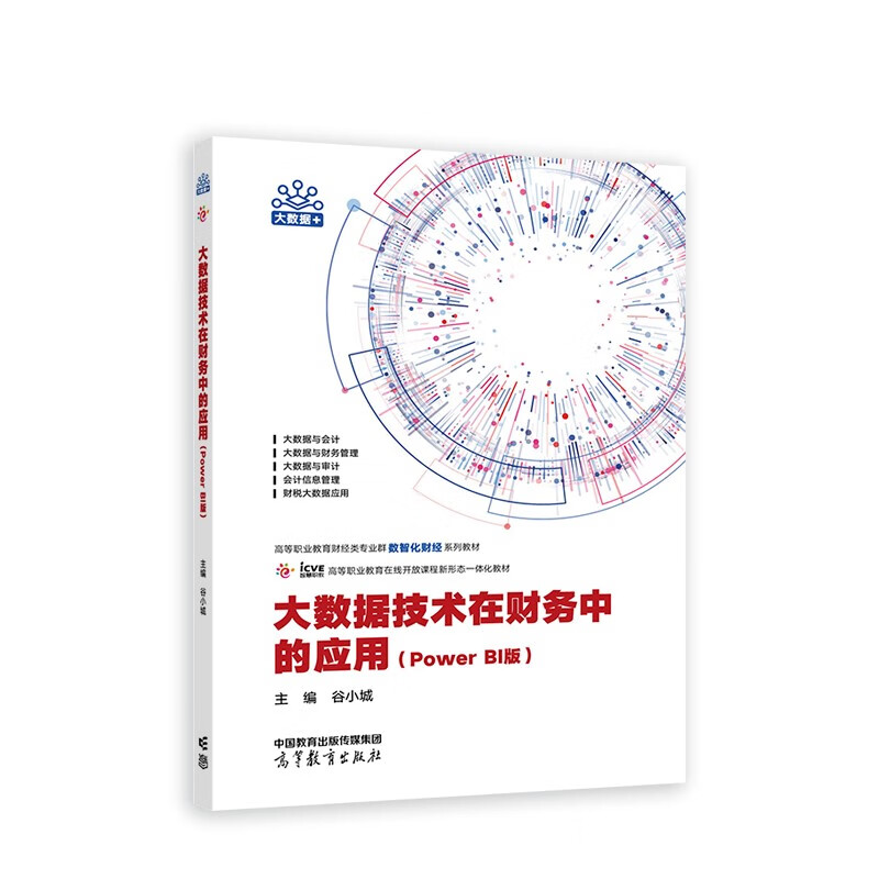 大数据技术在财务中的应用（Power BI版）