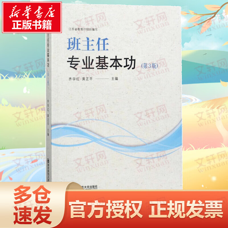 班主任专业基本功 齐学红 黄正平 著 从理论的高度认识班主任所须具备的专业理念