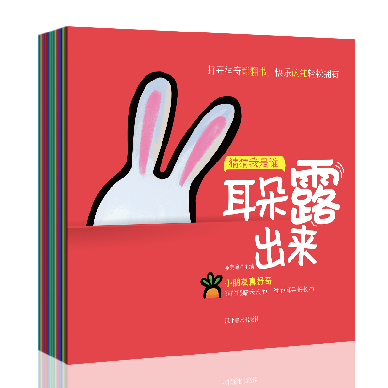 猜猜我是谁 洞洞书翻翻书 启蒙认知 （全10册）0-3岁