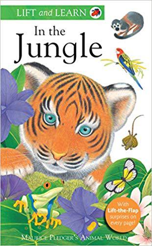 Lift and Learn: In the Jungle