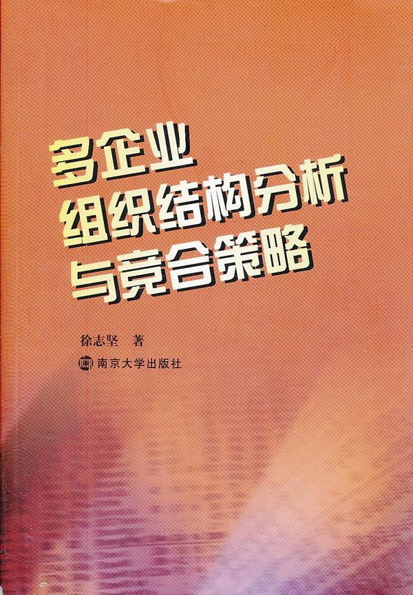 多企业组织结构分析与竞合策略