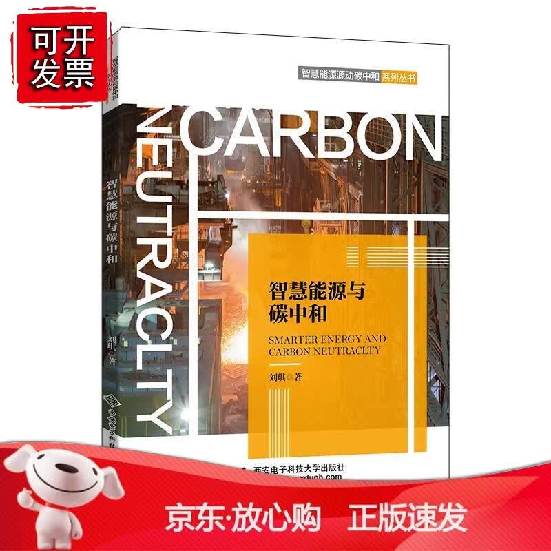 智慧能源与碳中和