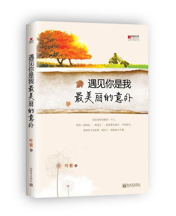 遇见你是我美丽的意外【好书，下单速发】