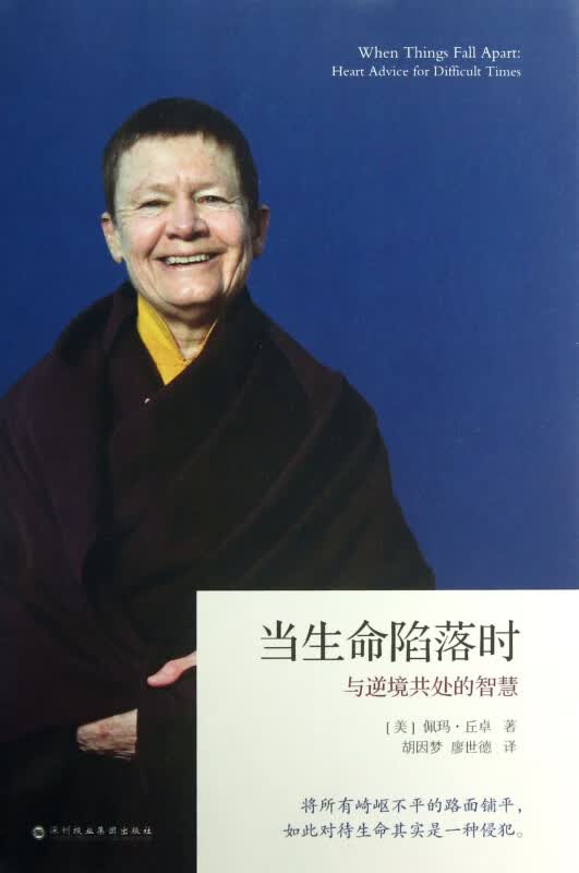 当生命陷落时(与逆境共处的智慧)