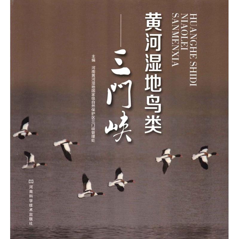 黄河湿地鸟类:三门峡
