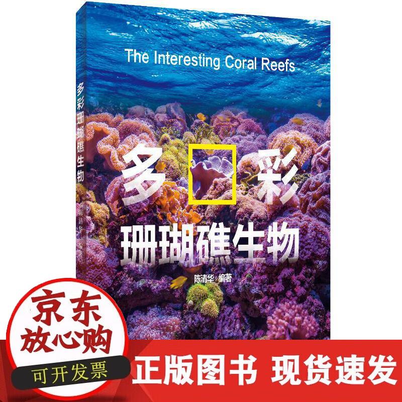 【现货】多彩珊瑚礁生物