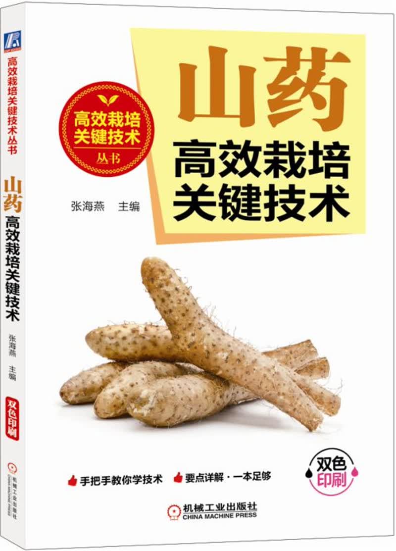 山药高效栽培关键技术