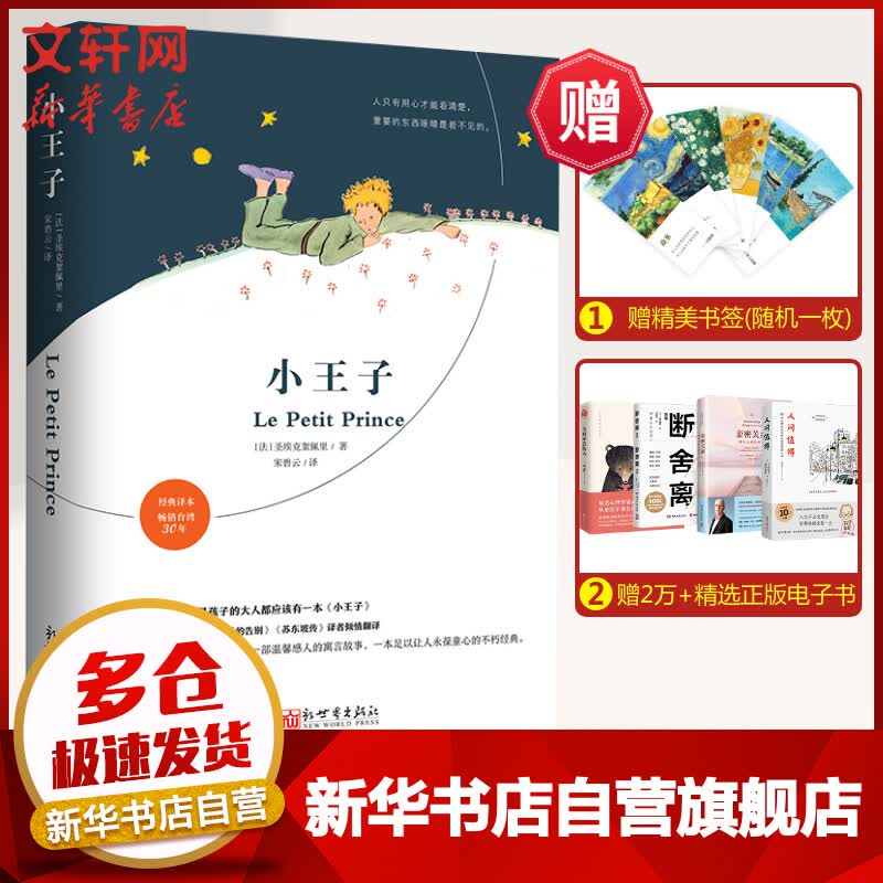 小王子 经典译本 中外经典名著儿童文学作品 图书