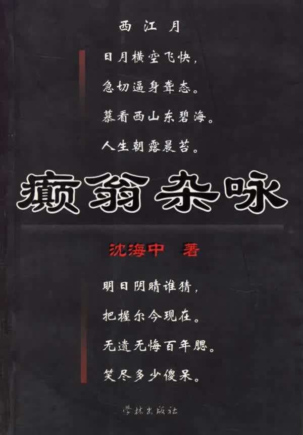 癫翁杂咏 沈海中【好书，下单速发】