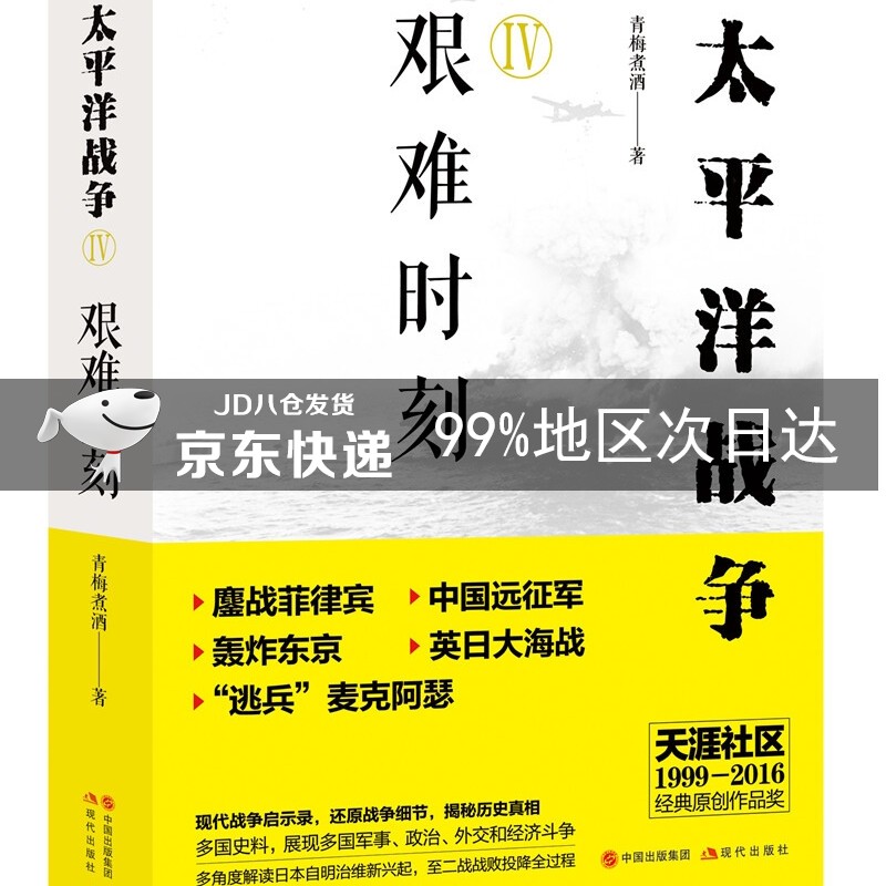太平洋战争4：艰难时刻