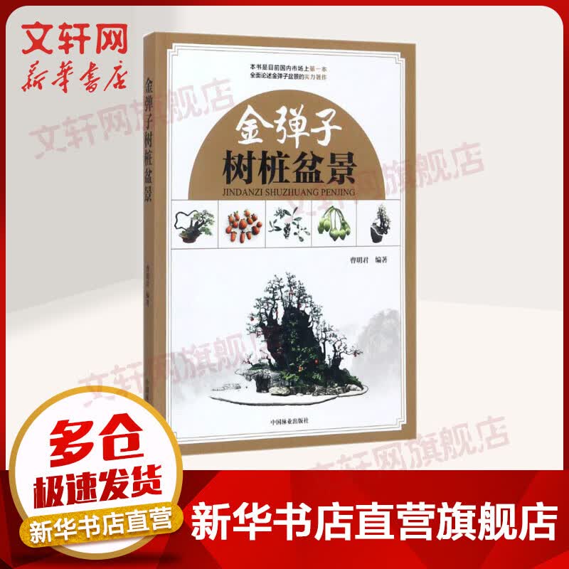 金弹子树桩盆景 图书 曹明君 中国林业出版社