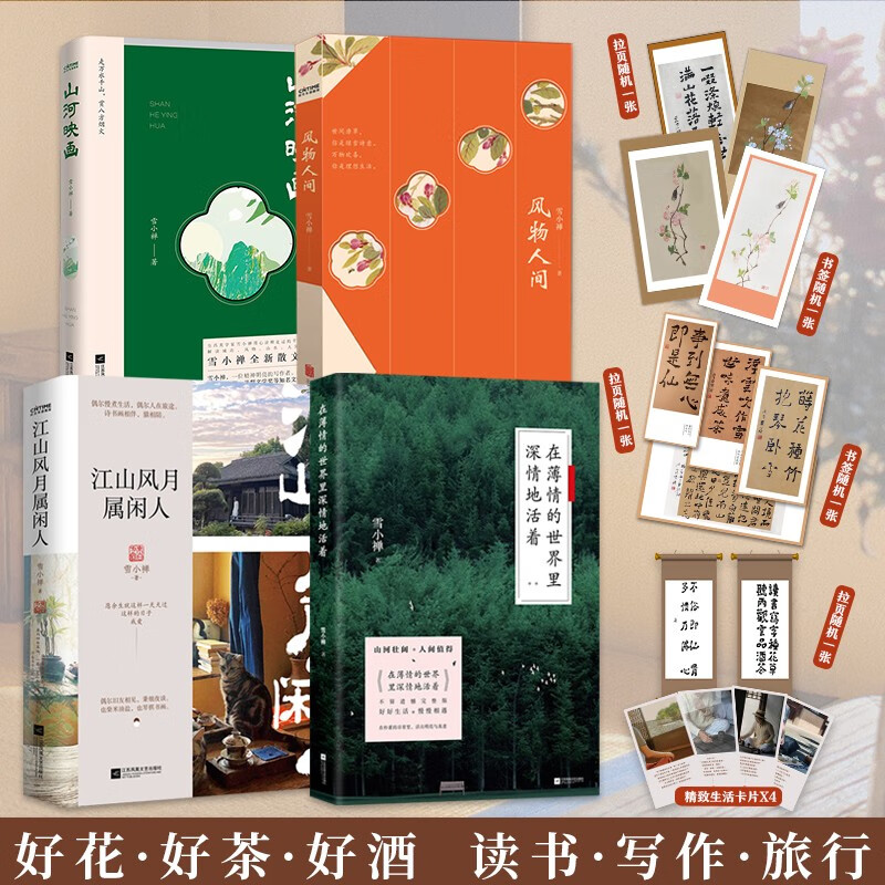 雪小禅套装（4册）：江山风月属闲人+山河映画+风物人间+在薄情的世界里深情地活着