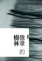 预售 简媜 微晕的树林 洪范 原版进口书