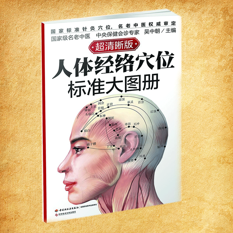 穴位图人体经络穴位图标准大图册 超清晰 人体经络穴位图解书 人体经络中医按摩穴位图解大全书籍 养生书籍