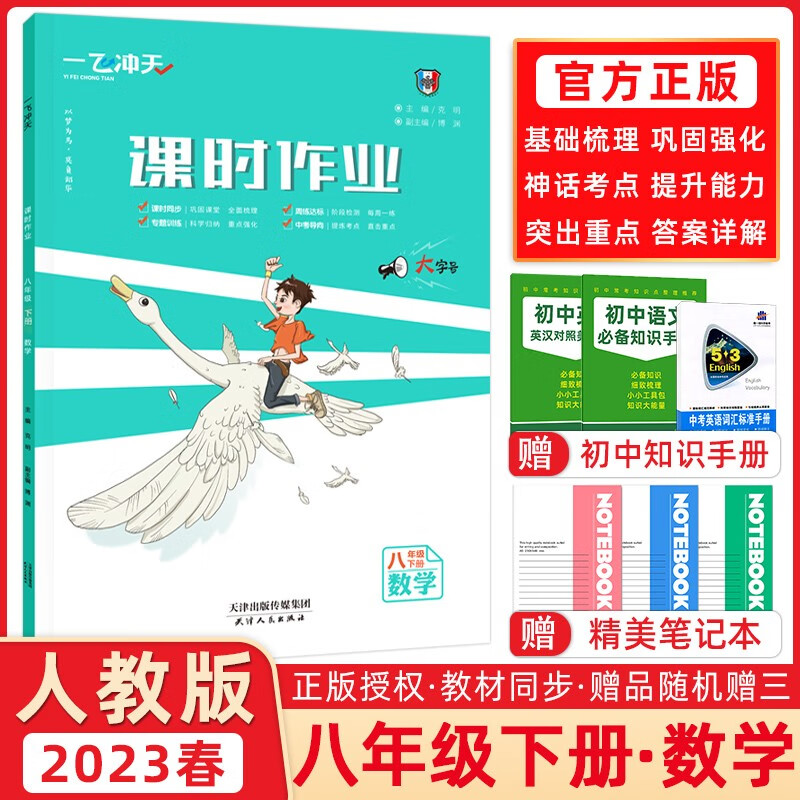 2023新版一飞冲天课时作业八年级上册下册语文数学英语物理历史道法人教版外研版初中8年级教材同步训练一飞冲天课时作业本 八年级下册 数学 人教版