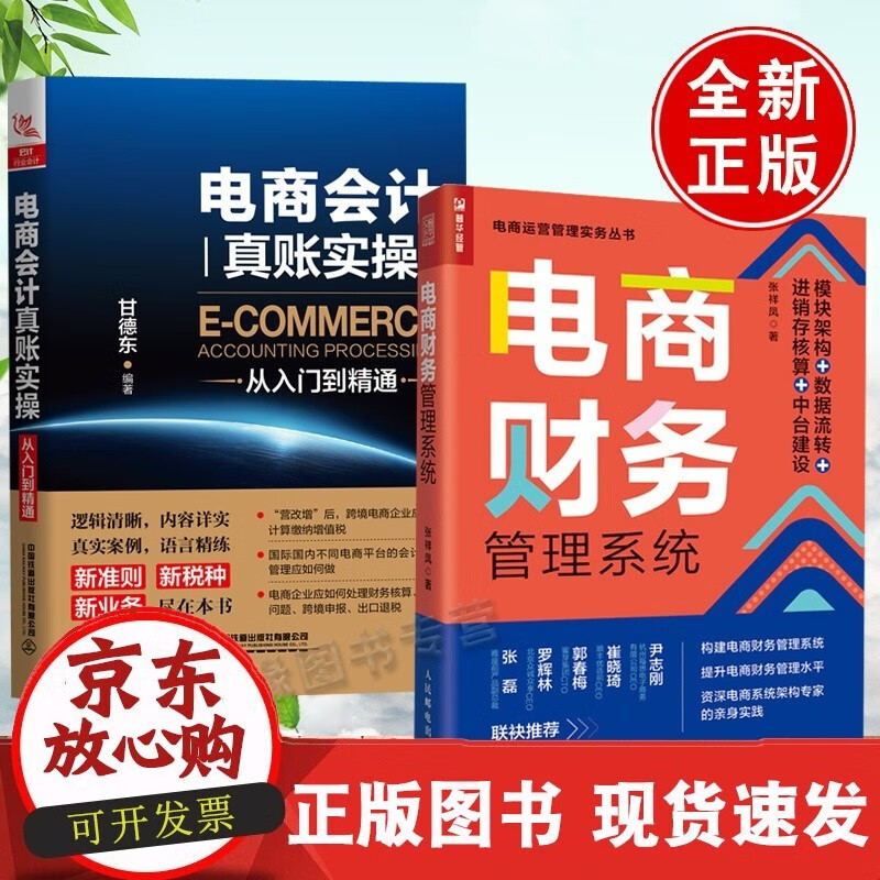 全2册】电商会计跨境电商财务管理系统核算绩效考核毛利润进销存实务记账做账处理教程实训分析行业表格书籍C