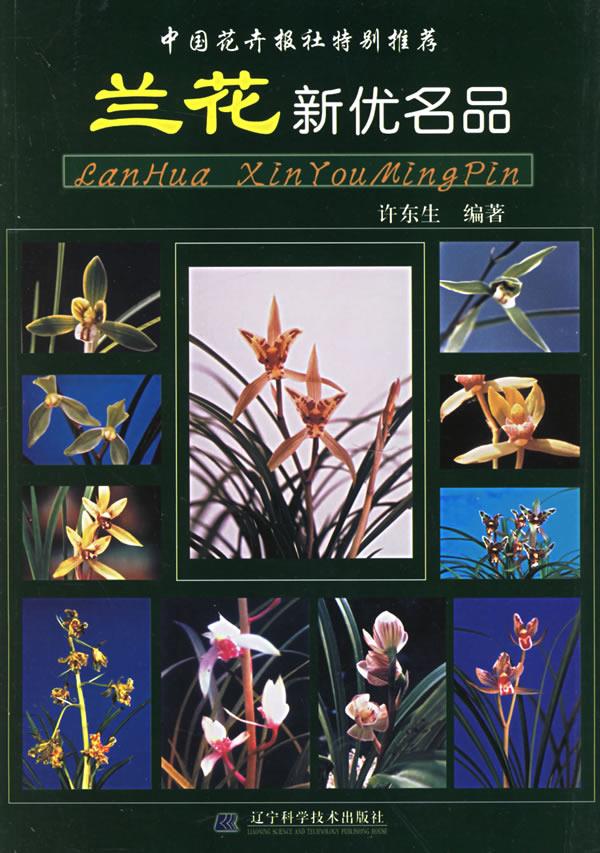 兰花新优名品