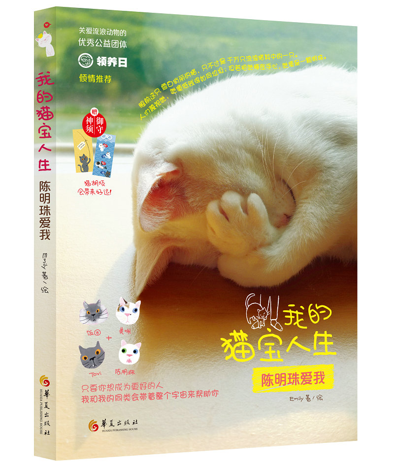 我的猫宝人生《现货速发》