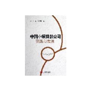 中国小额贷款公司实践与发展