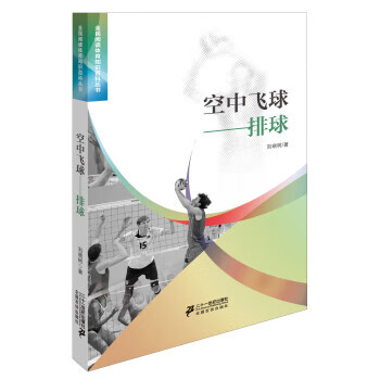 空中飞球排球 刘晓树 著