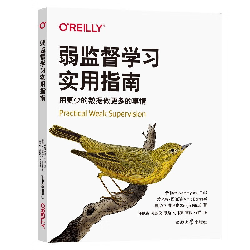 弱监督学习实用指南