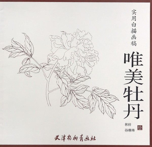 唯美牡丹(实用白描画稿)