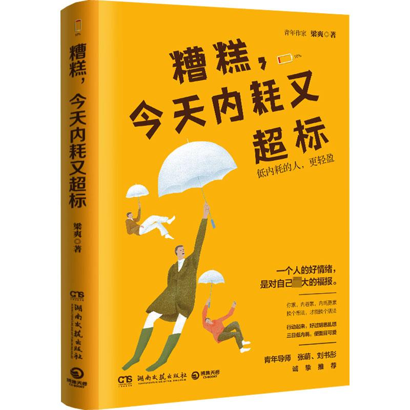 糟糕,今天内耗又超标 图书