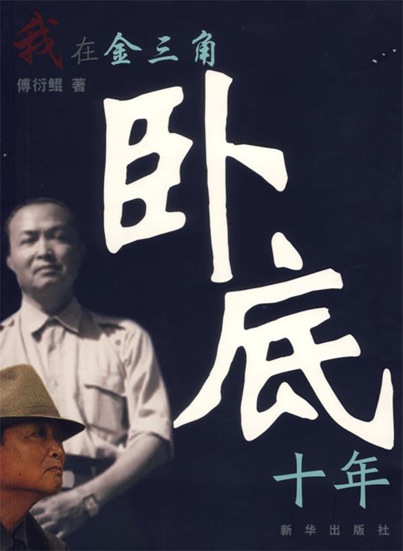 我在金三角卧底十年 傅衍鲲 著【书】