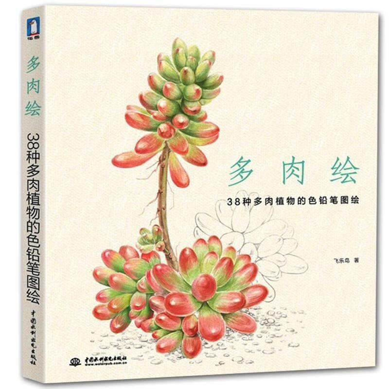 多肉绘【好书，下单速发】