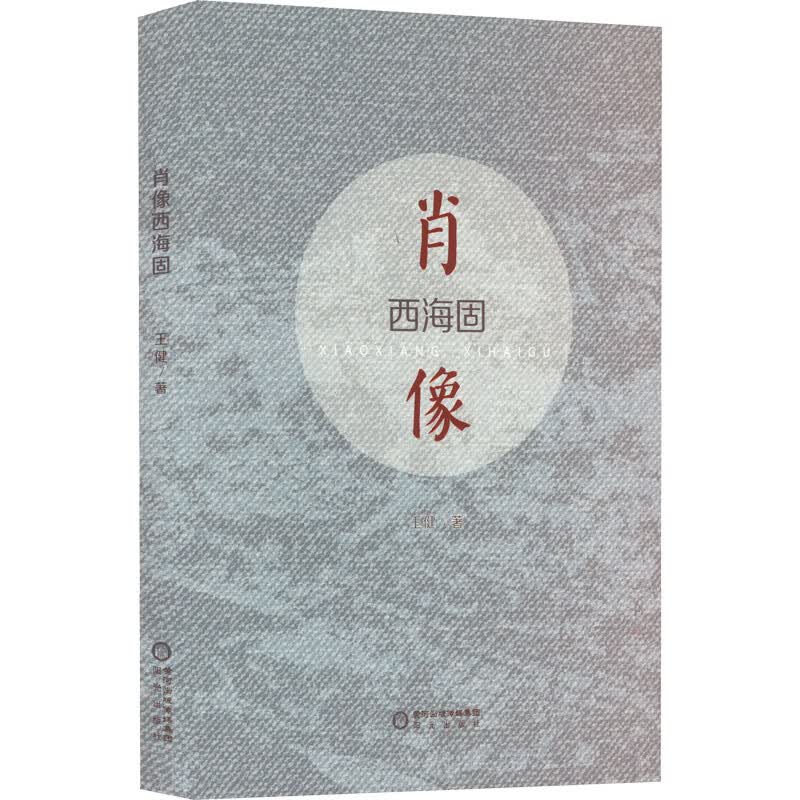 肖像西海固 图书