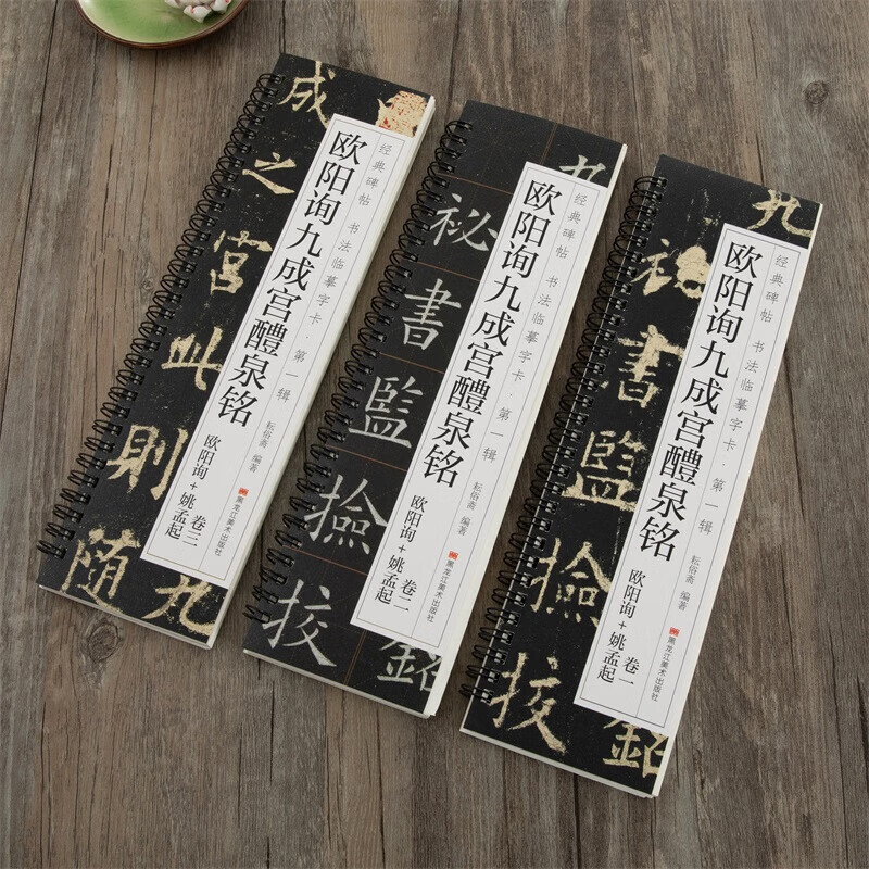 唐欧阳询九成宫醴泉铭姚孟起临九成宫碑对临本欧体楷书毛笔书法临摹字帖学生成人入门初学者经典碑帖近距离临摹字卡原大版简体旁注