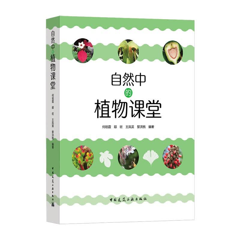 自然中的植物课堂