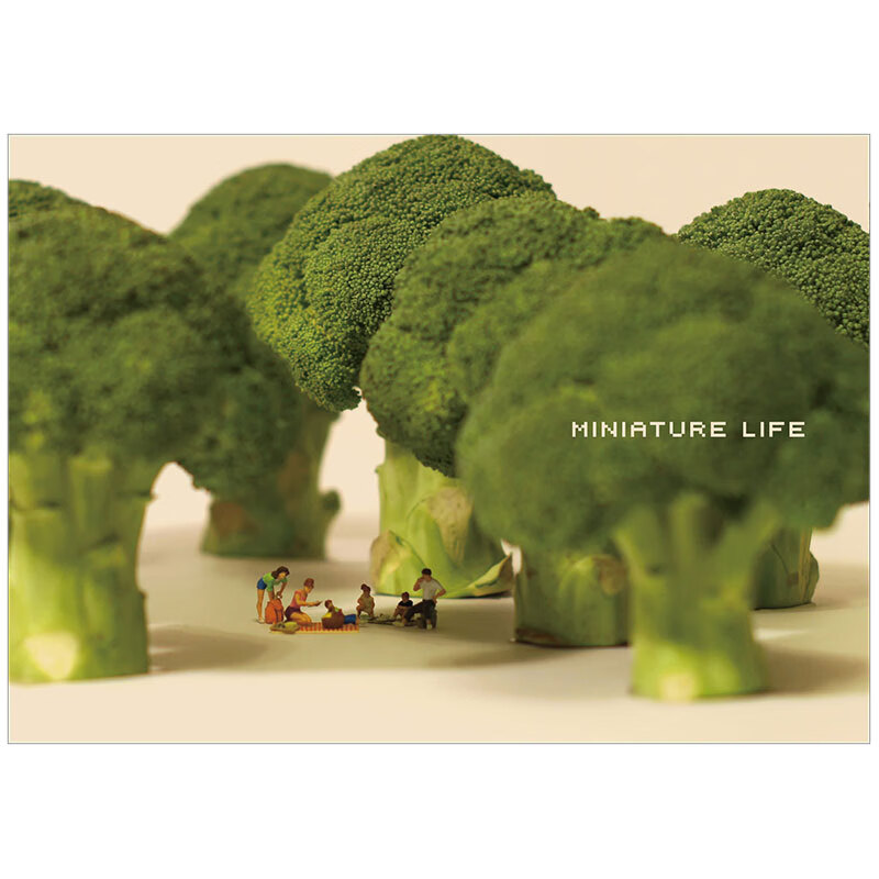 MINIATURE LIFE ミニチュアライフ，微型生活 日文进口原版移轴摄影 生活图书日本写真集善本图书