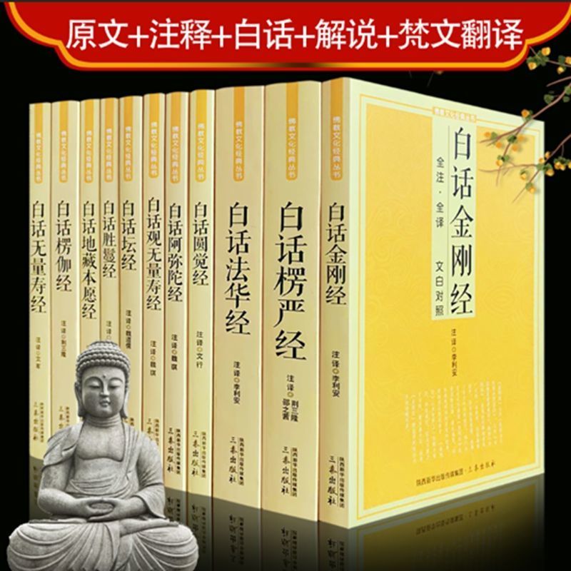 佛学文化经典全套11册原文注释译文白对照白话法华经楞伽经楞严经 【11册全】佛经