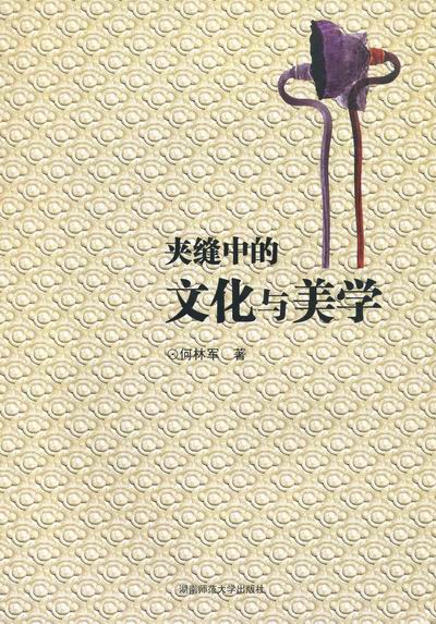 夹缝中的文化与美学/哲学/书籍
