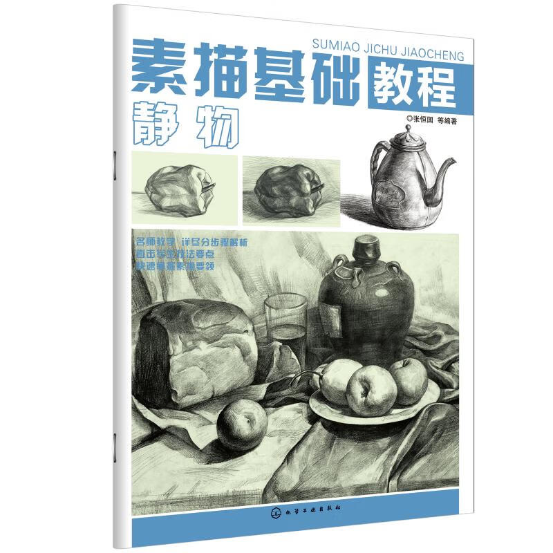素描基础教程 静物 零基础学素描 素描自学入门教材书籍 铅笔手绘画画册本 铅笔素描静物 构图线描临摹训练技法手绘美术教程书籍