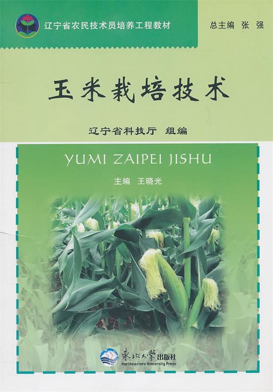 玉米栽培技术